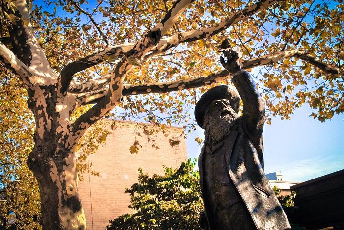 Rutgers University - Camden App